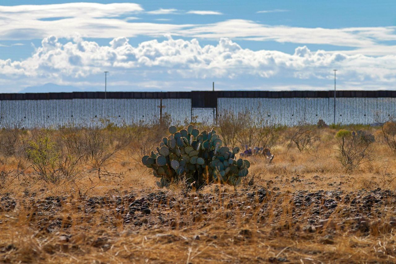 Damage from border wall: blown-up mountains, toppled cactus