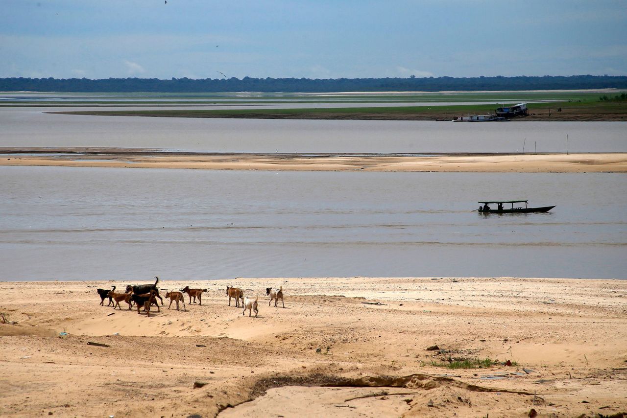 Months after floods, Brazil's Amazon faces a severe drought