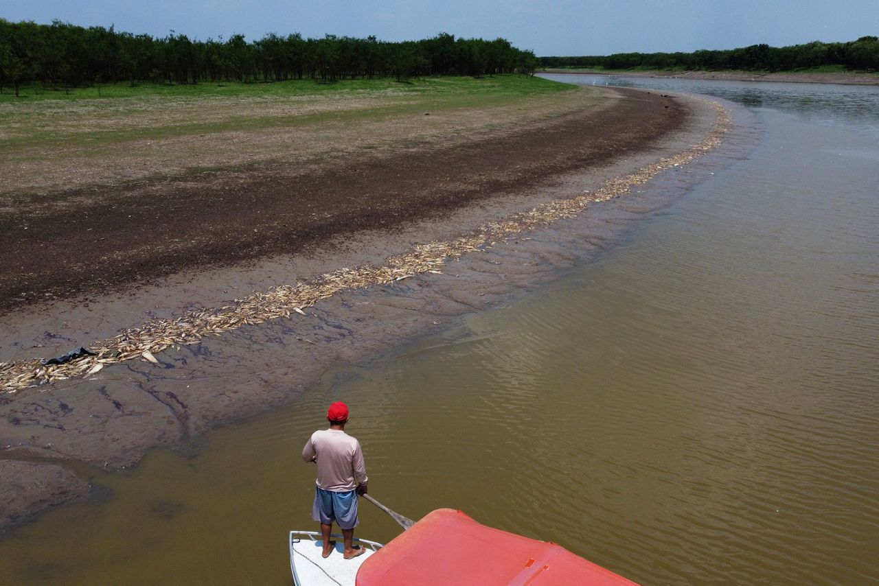 ‘Without water, there is no life’: Drought in Brazil’s Amazon is ...