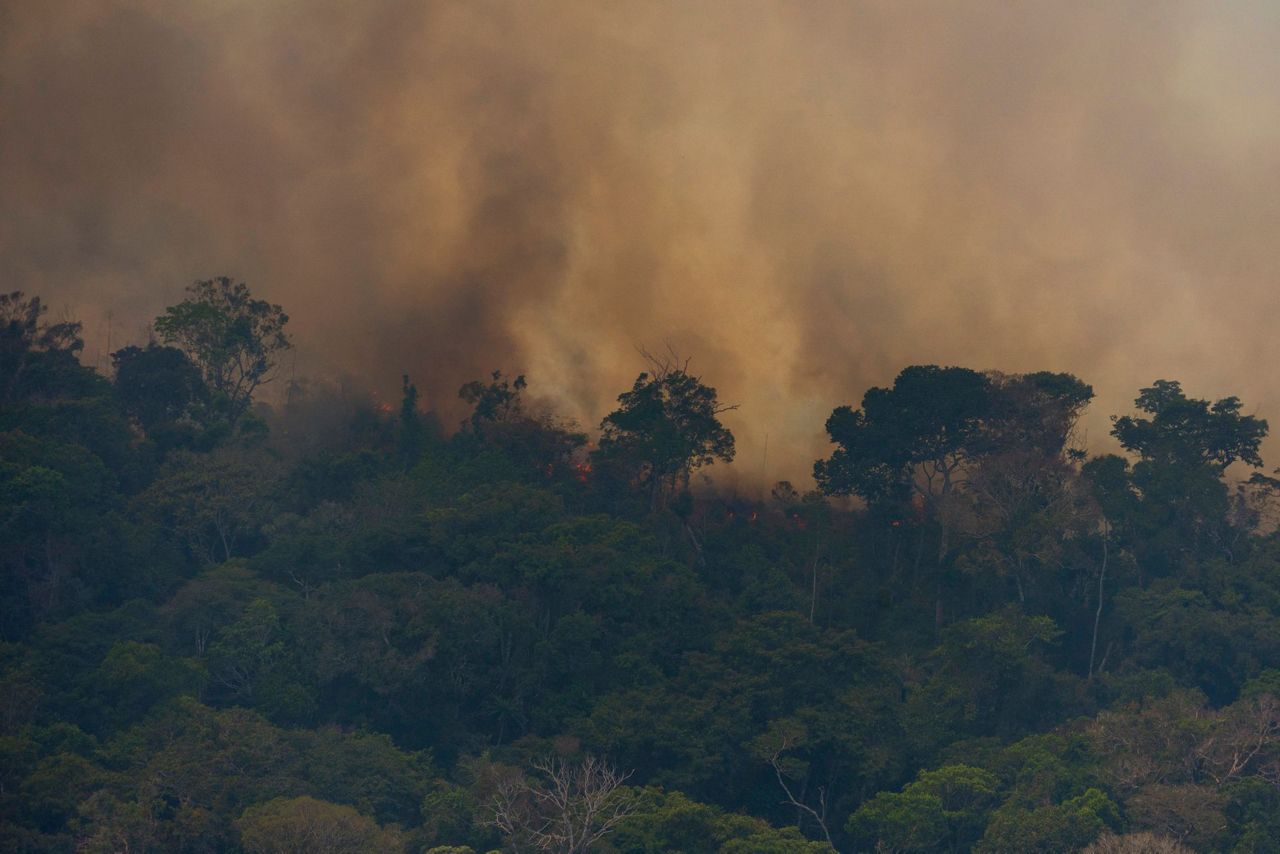 AP Explains: The causes and risks of the Amazon fires