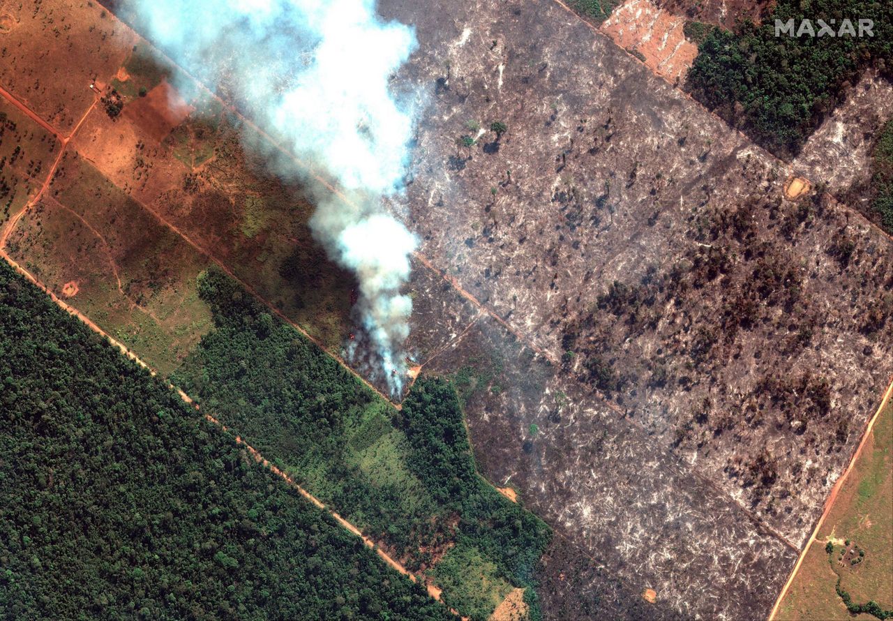 Rights group blames Brazilian government for Amazon fires