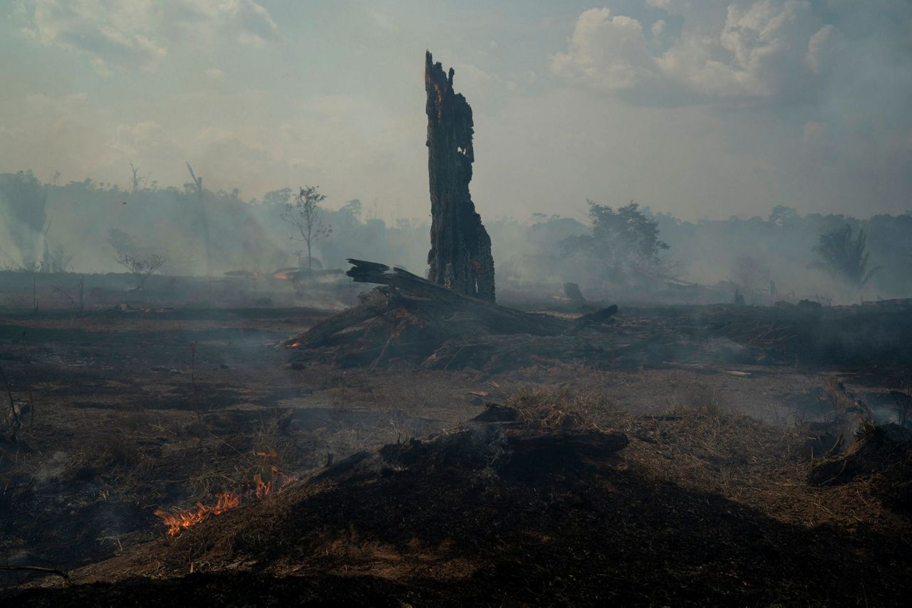 Brazilian indigenous speak out as Amazon fires rage