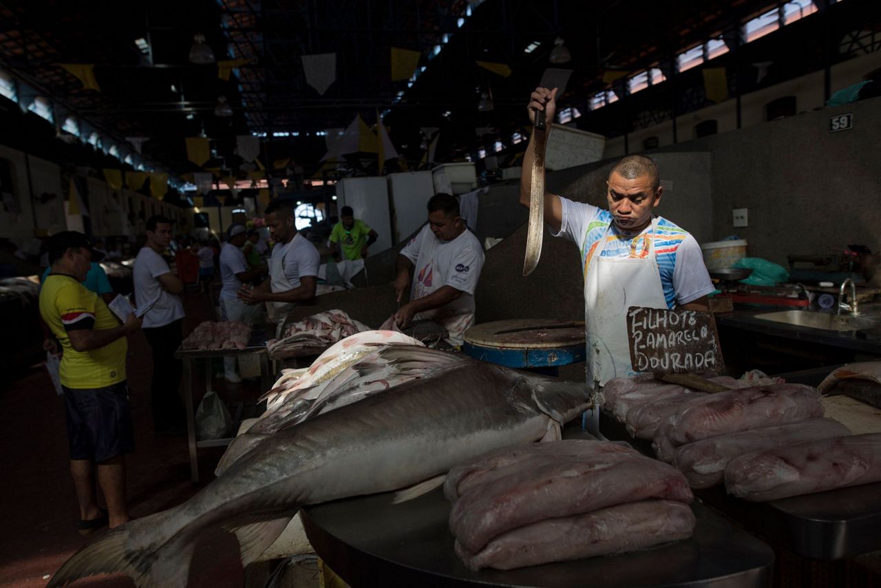Samba, Amazon fruits and fish at Brazil's Ver-O-Peso market