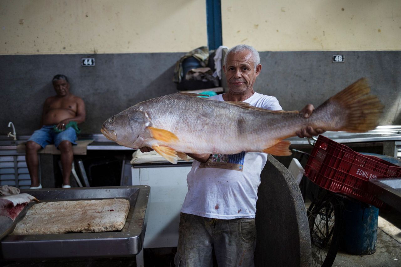 Samba, Amazon fruits and fish at Brazil's Ver-O-Peso market