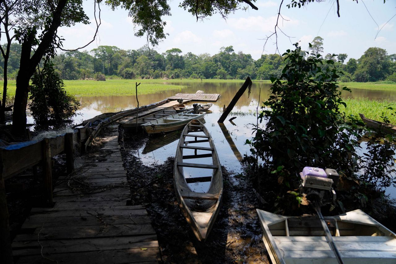 In the Amazon, Brazilian ecologists try new approach against ...