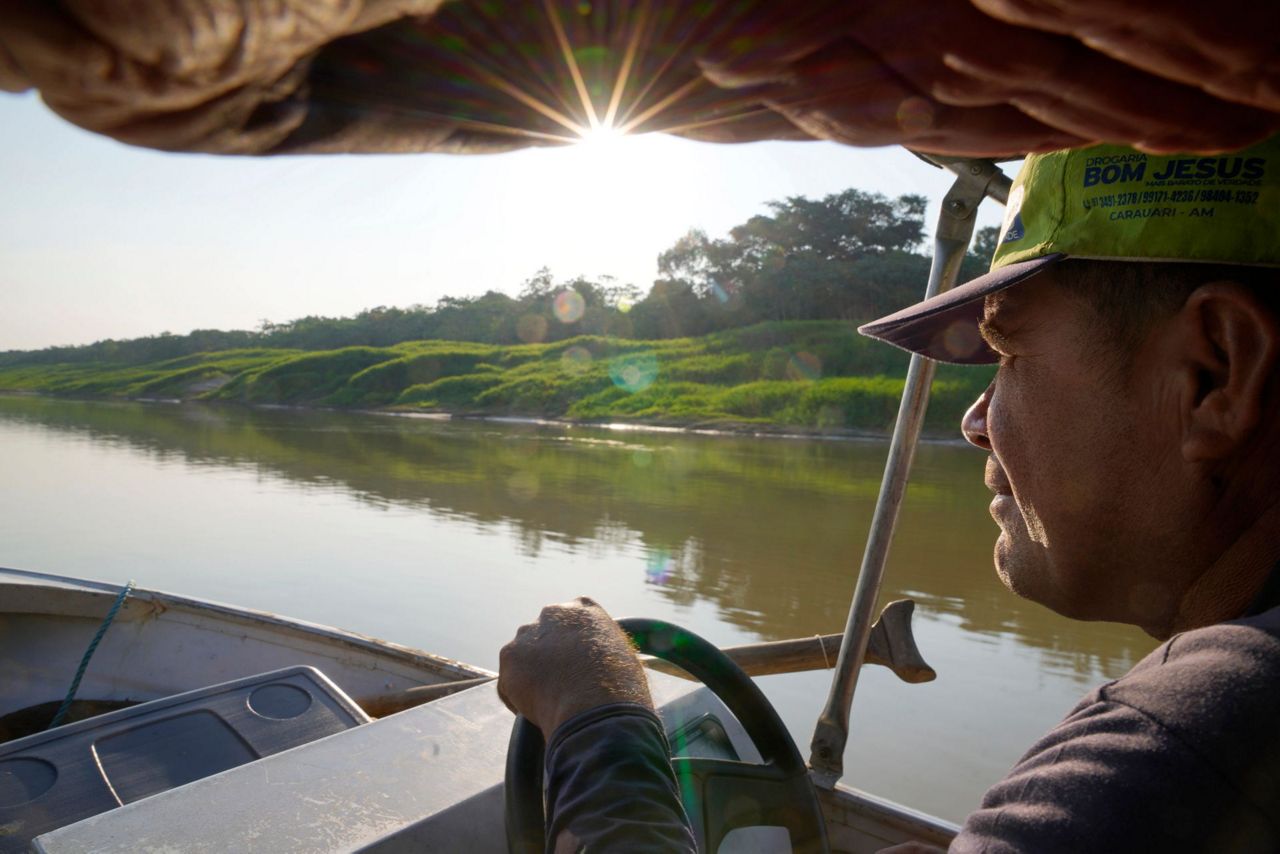 In the Amazon, Brazilian ecologists try new approach against ...