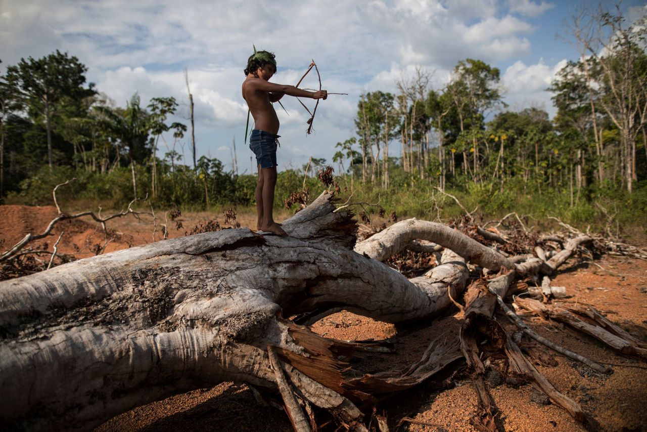 Arrows and smartphones: daily life of Amazon Tembe tribe