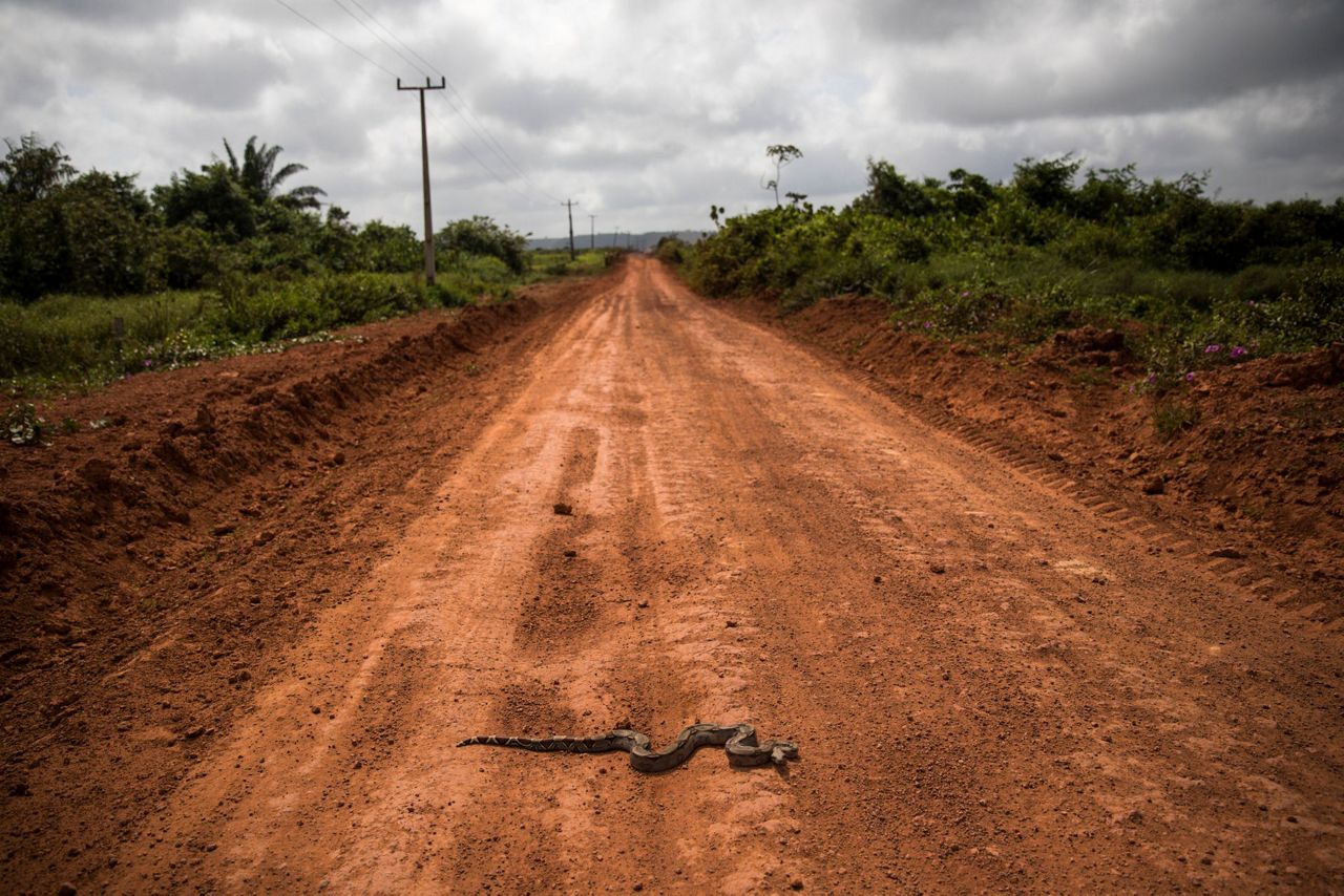 Arrows and smartphones: daily life of Amazon Tembe tribe
