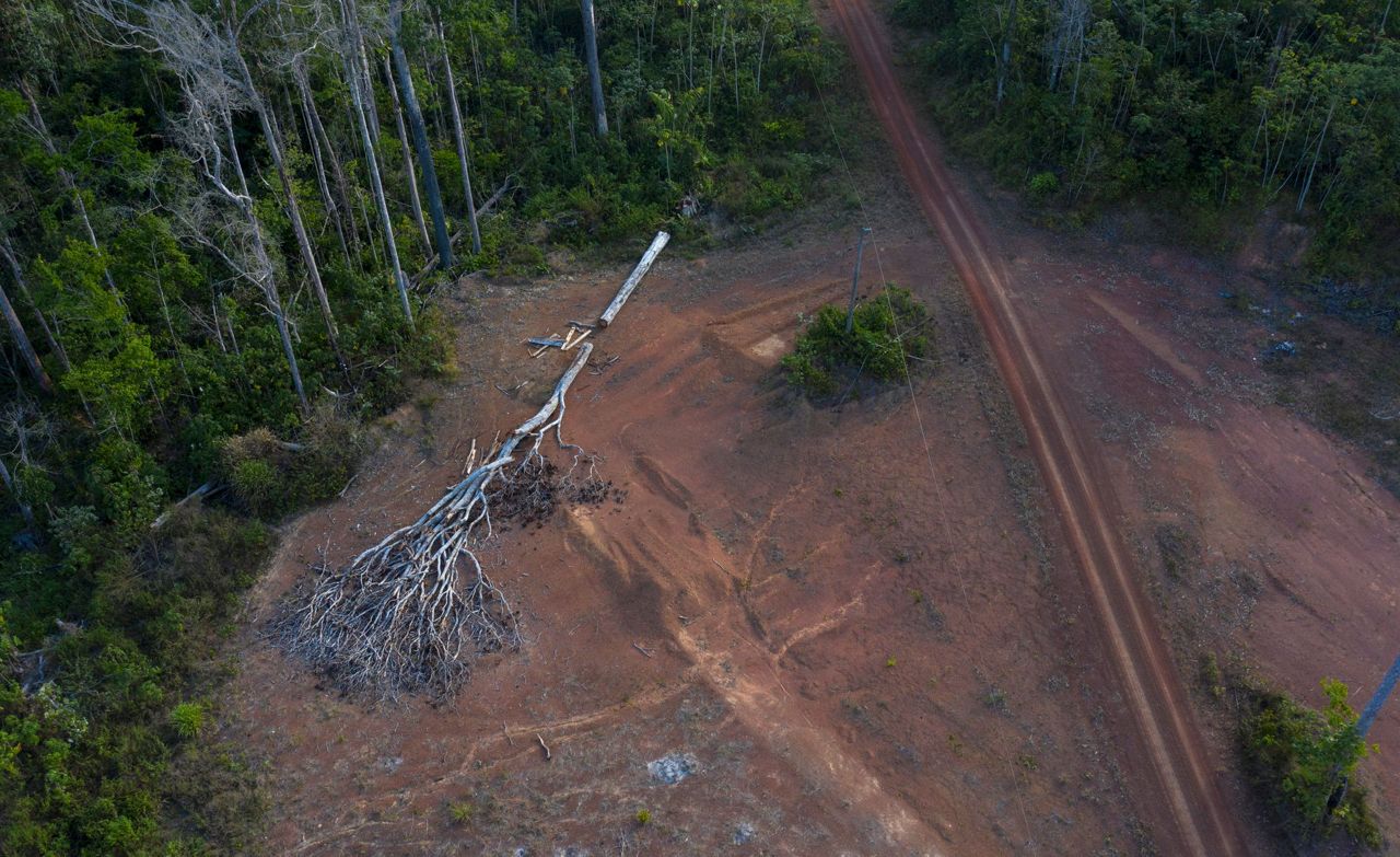 Arrows and smartphones: daily life of Amazon Tembe tribe