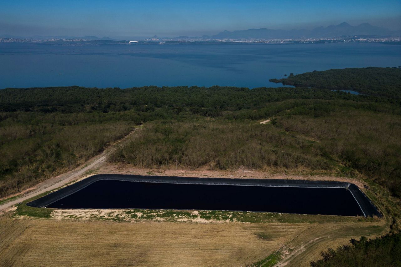 Mangrove forest thrives around what was once Latin America's largest ...
