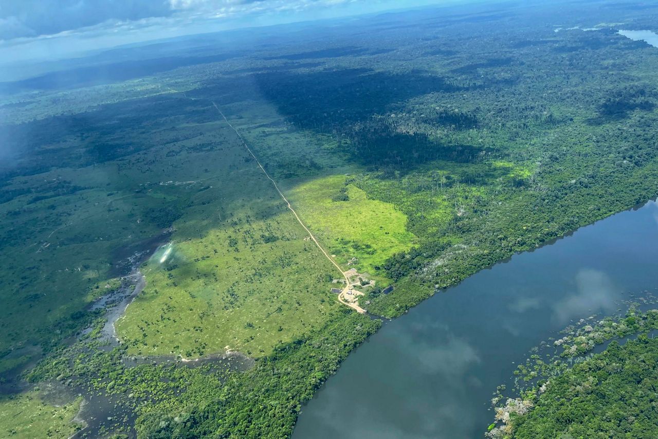 Crucial illegal road threatens Amazon rainforest