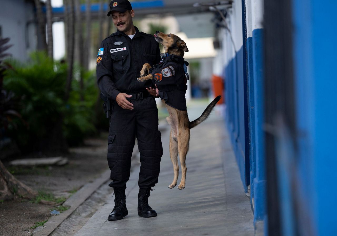 In Rio, rescue dogs watch out for their rescuers