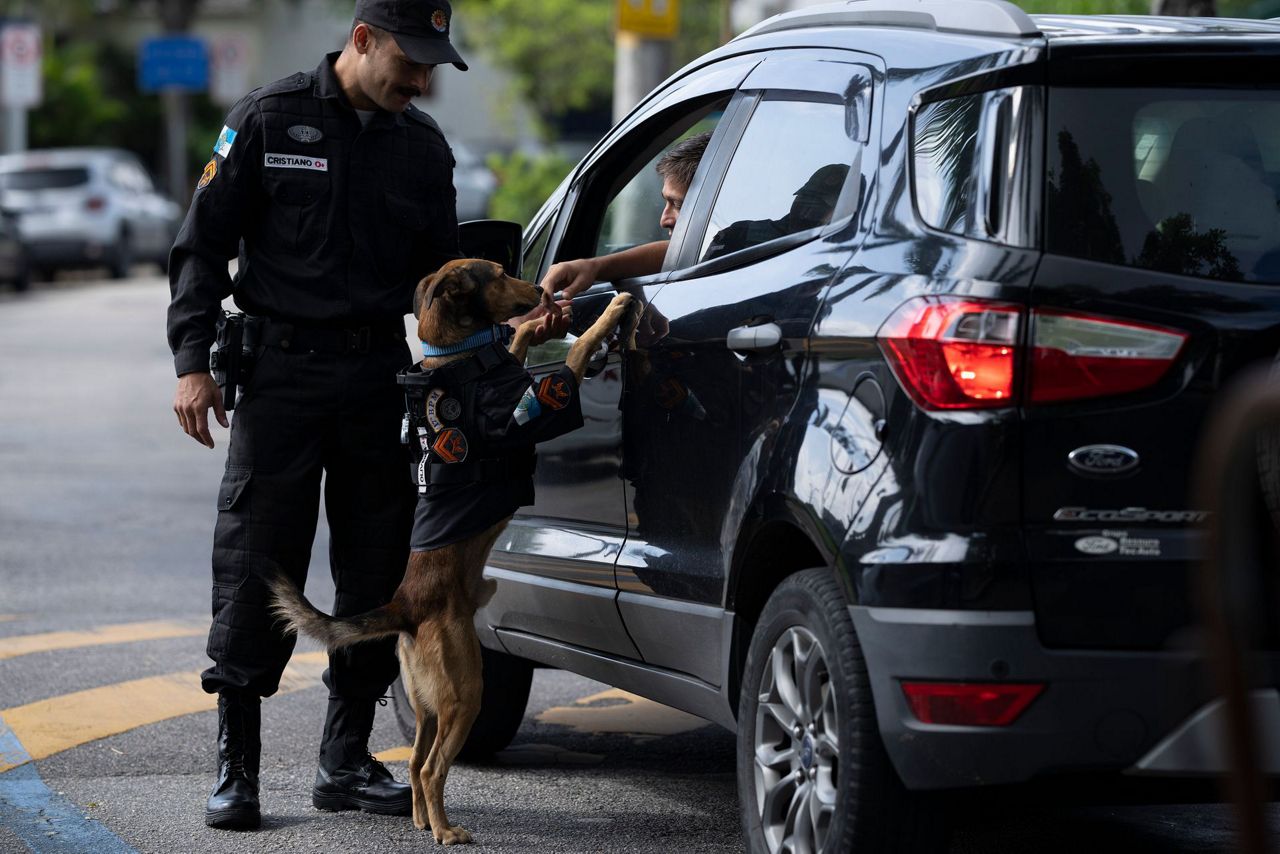 In Rio, rescue dogs watch out for their rescuers