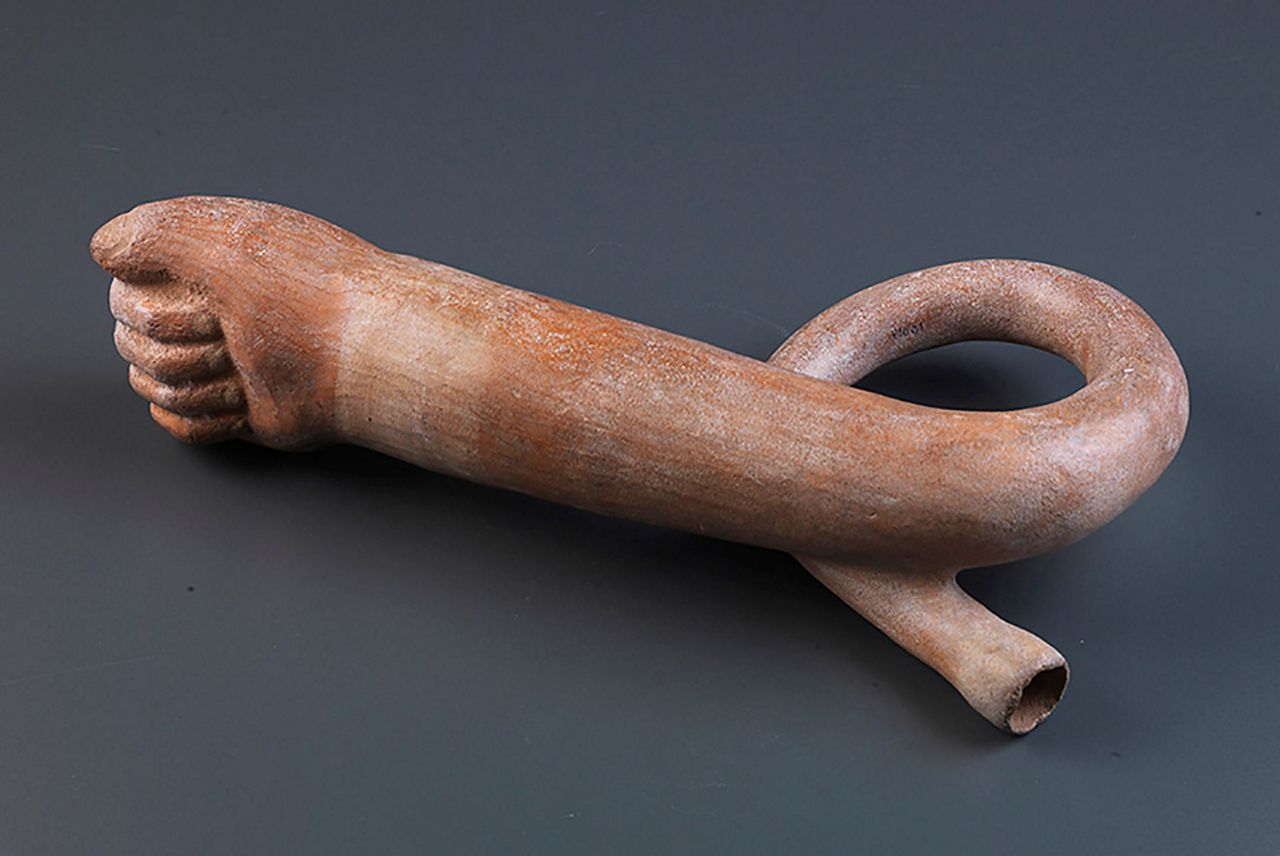 Researchers hope some objects survived Brazil museum fire