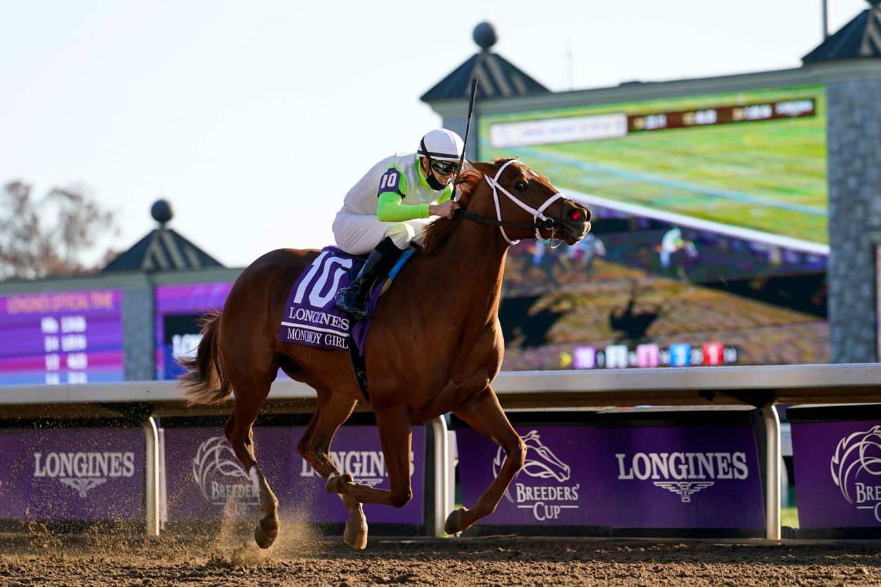 Longshot Order of Australia, 73-1, win Breeders' Cup Mile