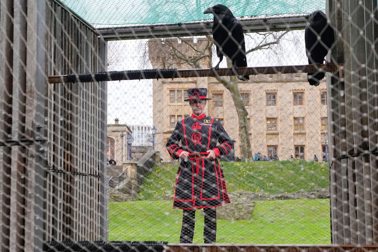 The Tower of London's new ravenmaster takes charge of the landmark's ...