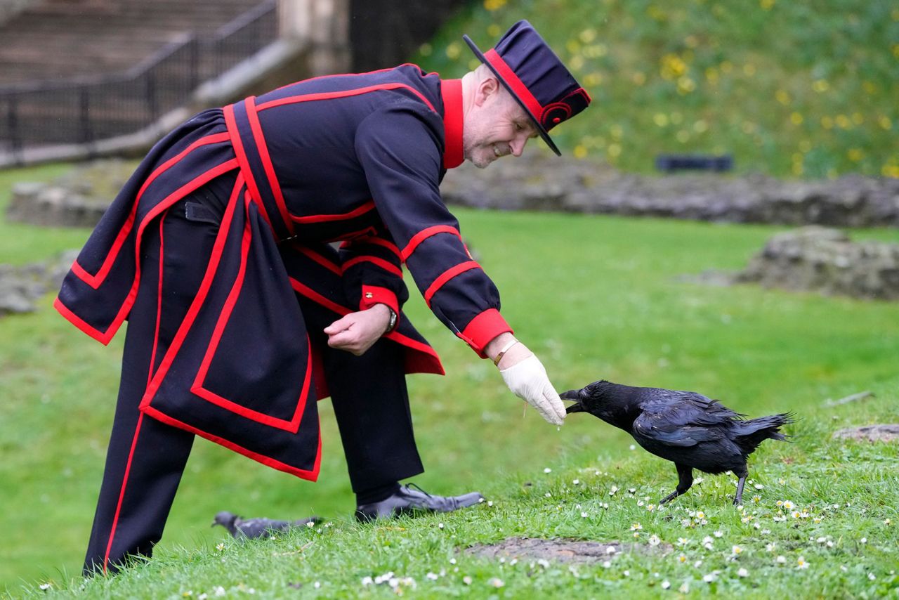 The Tower of London's new ravenmaster takes charge of the landmark's ...