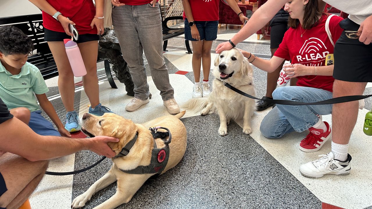 OSU dog therapy program to help students relieve stress