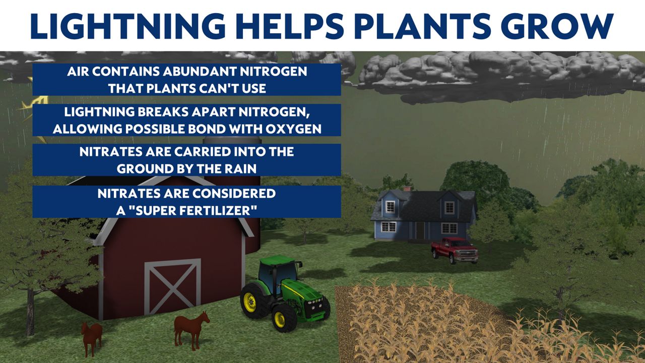 Growth in a flash: How lightning is good for soil