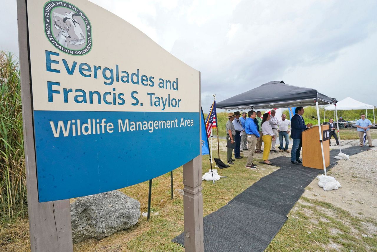 DeSantis announces Burmese Python hunting contest for July