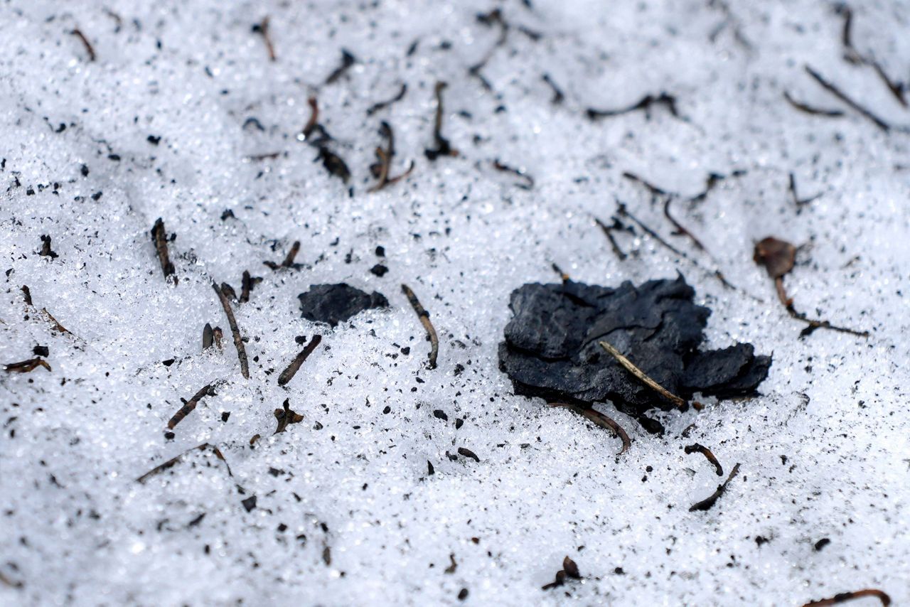 After wildfires, scorched trees could disrupt water supplies