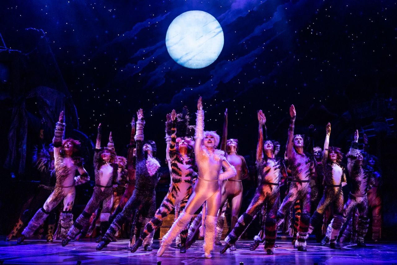 OPINION: 'Cats' offers an un-fur-gettable night of theater