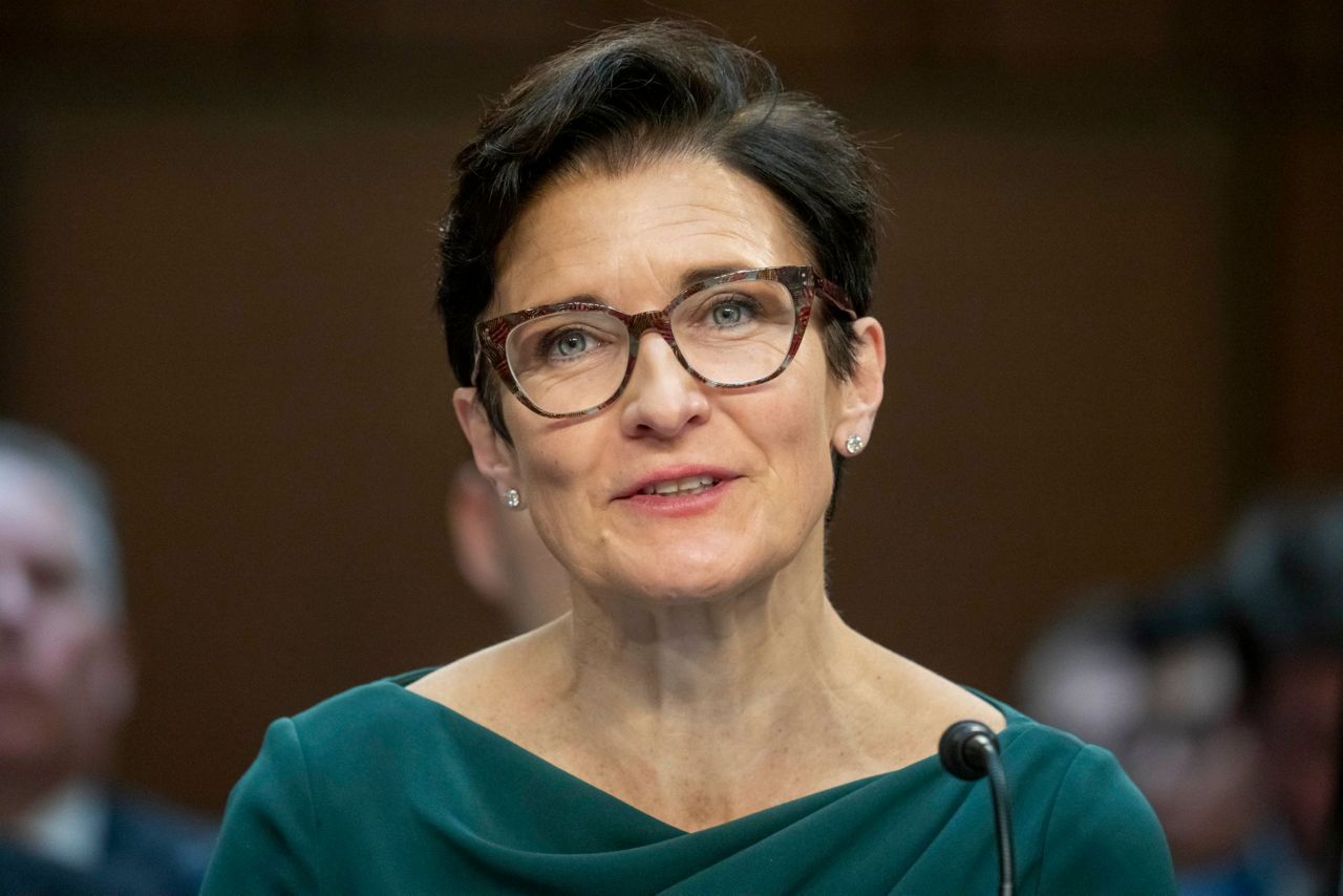 More women made the list of top paid CEOs in 2023, but their numbers ...