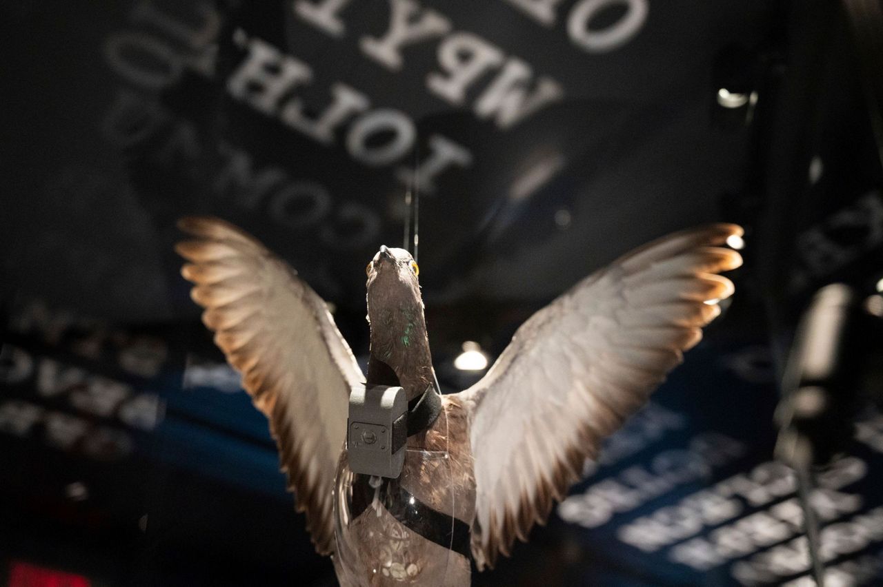 CIA unveils model of al-Qaida leader al-Zawahri's hideout
