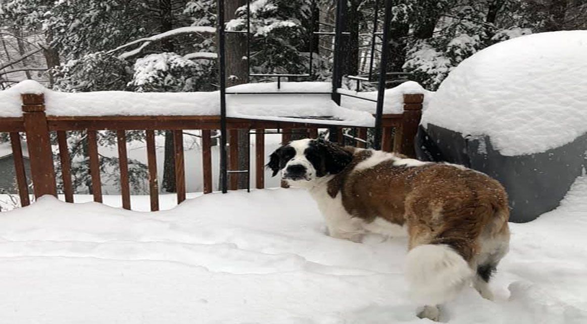 GALLERY: First Snow Storm of 2019 Hits Upstate New York