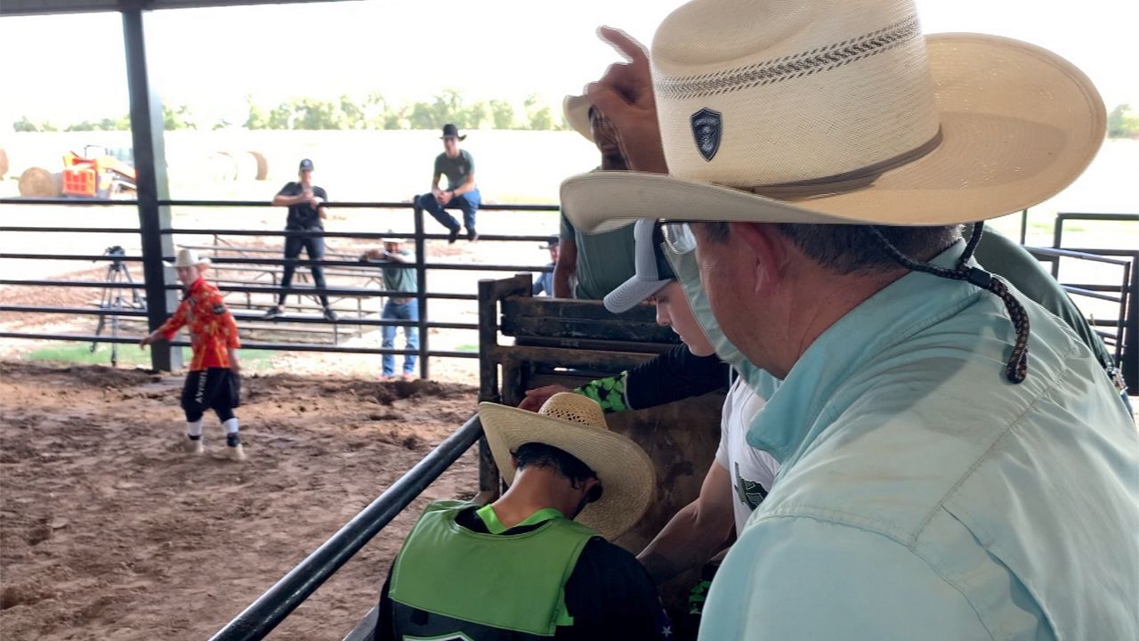 Here's what it takes to raise PBR Bucking Bulls