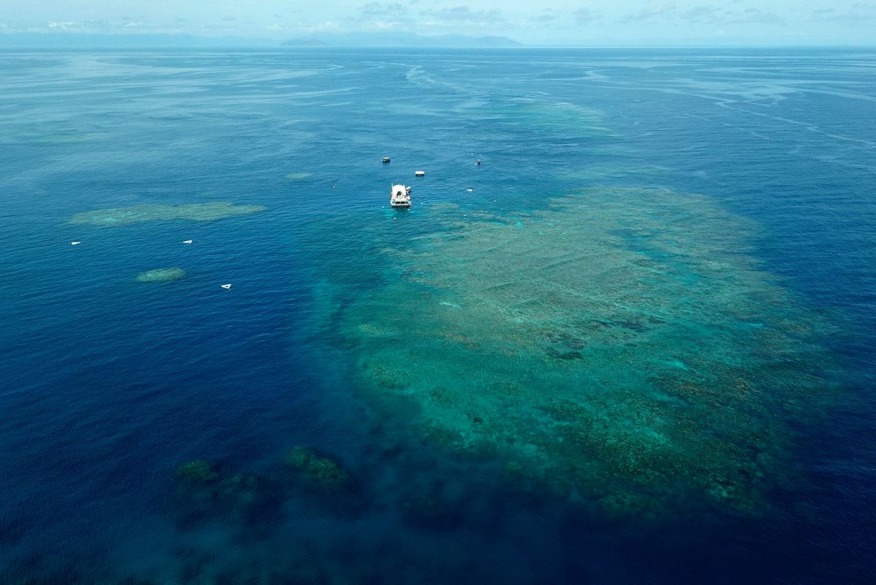 Scientists try to bolster Great Barrier Reef in warmer world