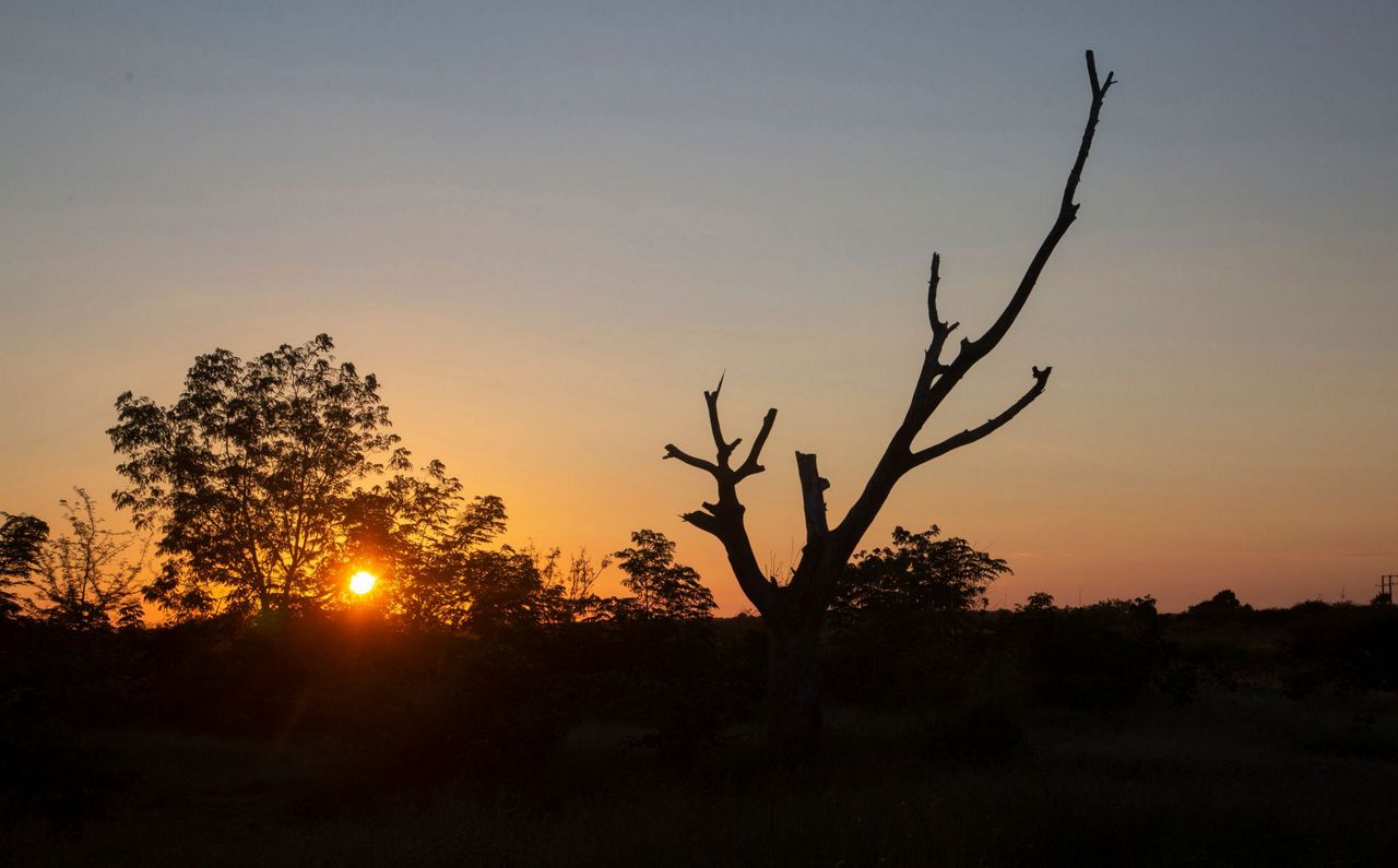 Droughts, rising sea levels, Cuba's agriculture under threat