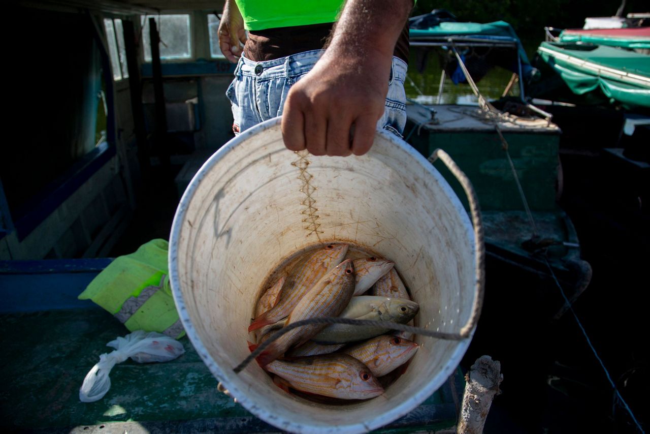 Droughts, rising sea levels, Cuba's agriculture under threat