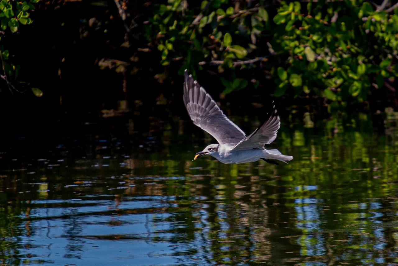 Droughts, rising sea levels, Cuba's agriculture under threat