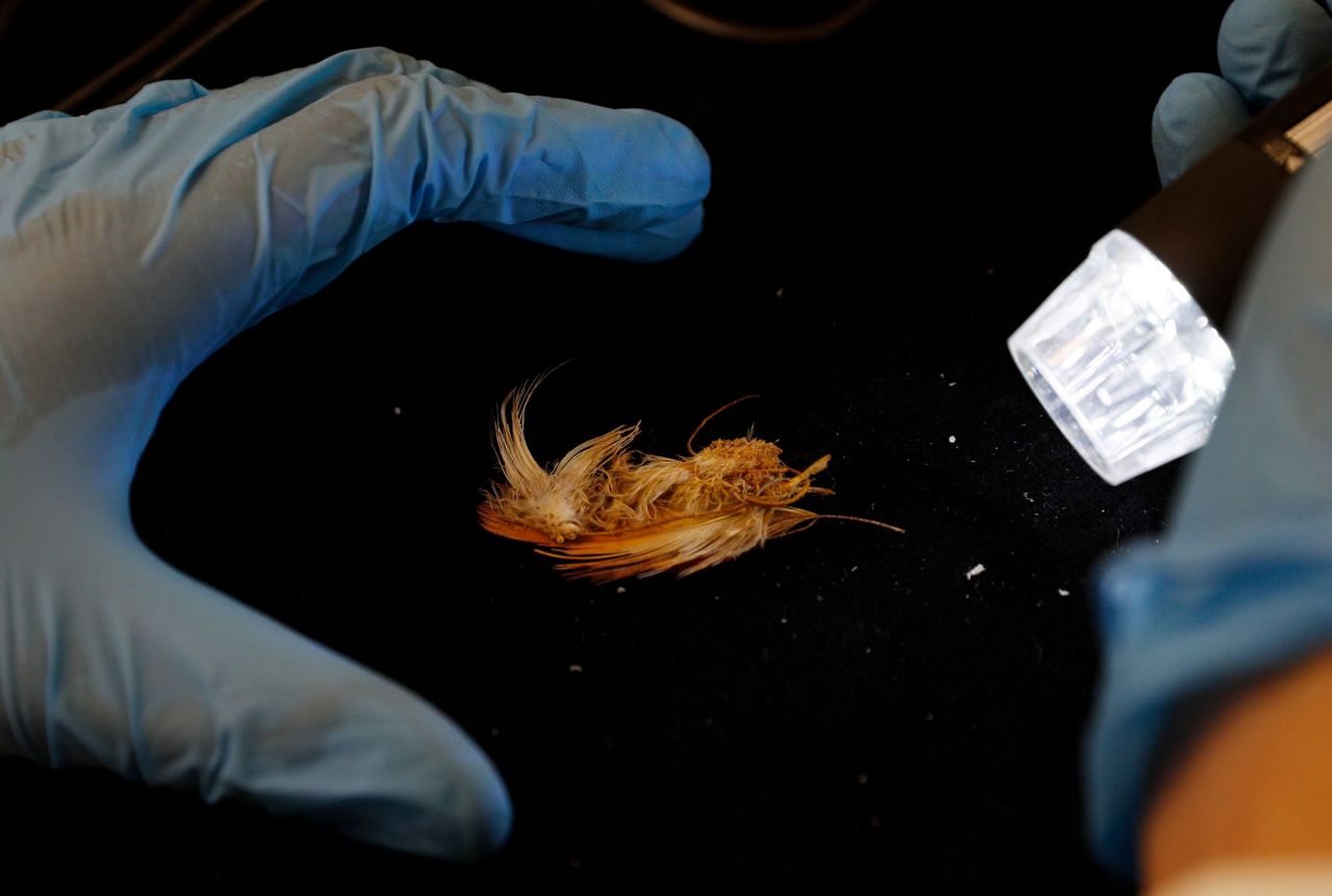 500-year-old mummy of Incan girl returns to Bolivia