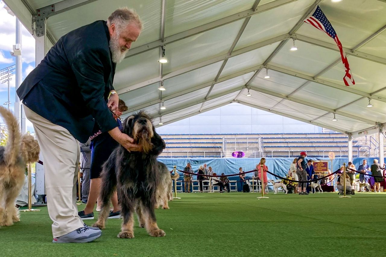 For these hounds and humans, dog show a couples' competition