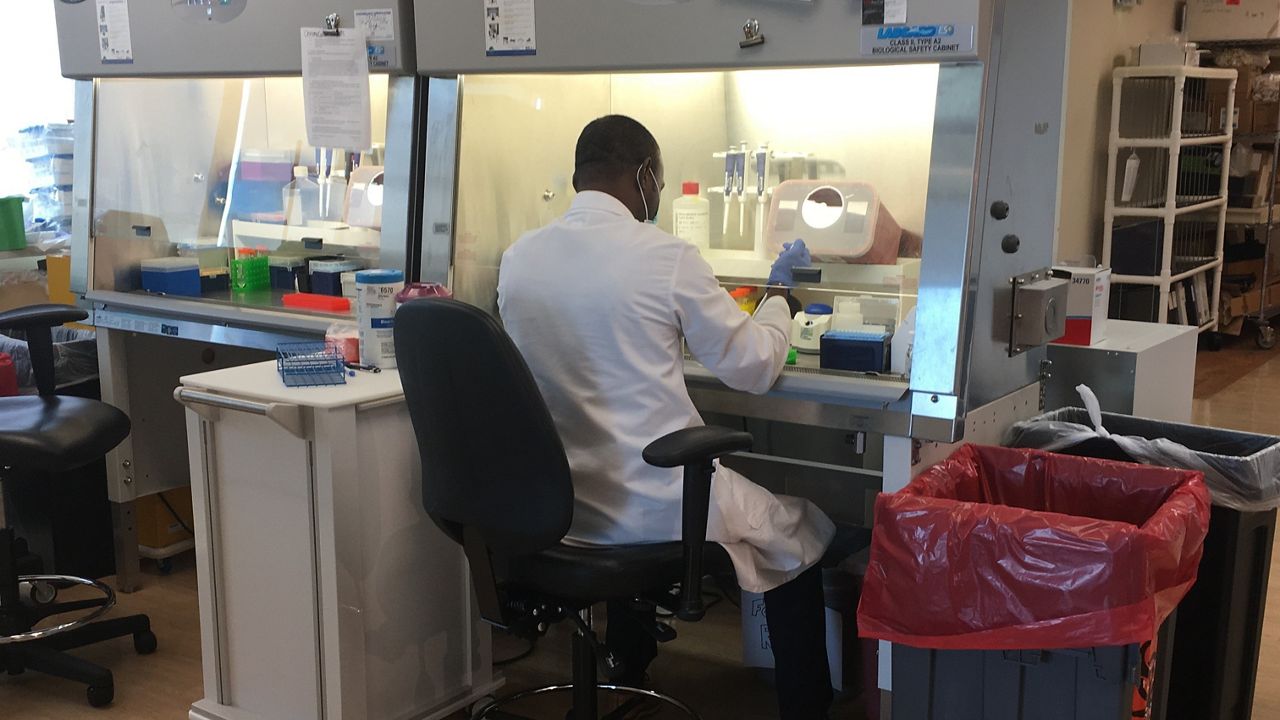 TGH Variant Sequencing Adds to Global Understanding of Virus