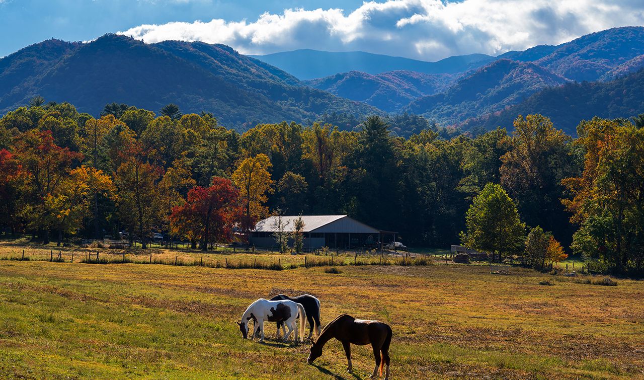 Spectrum News | Tennessee