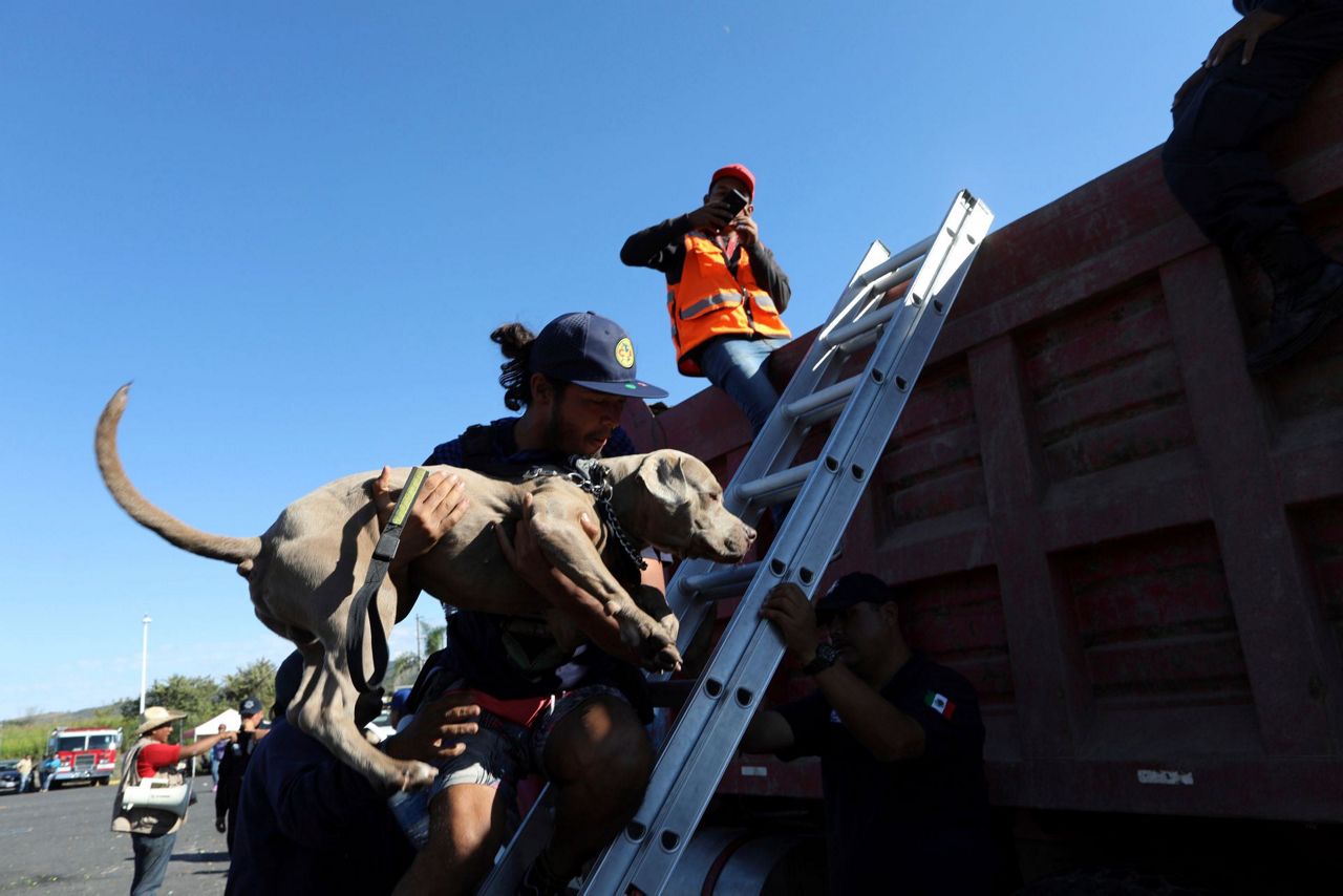 Splintered migrant caravan groups arrive at US border