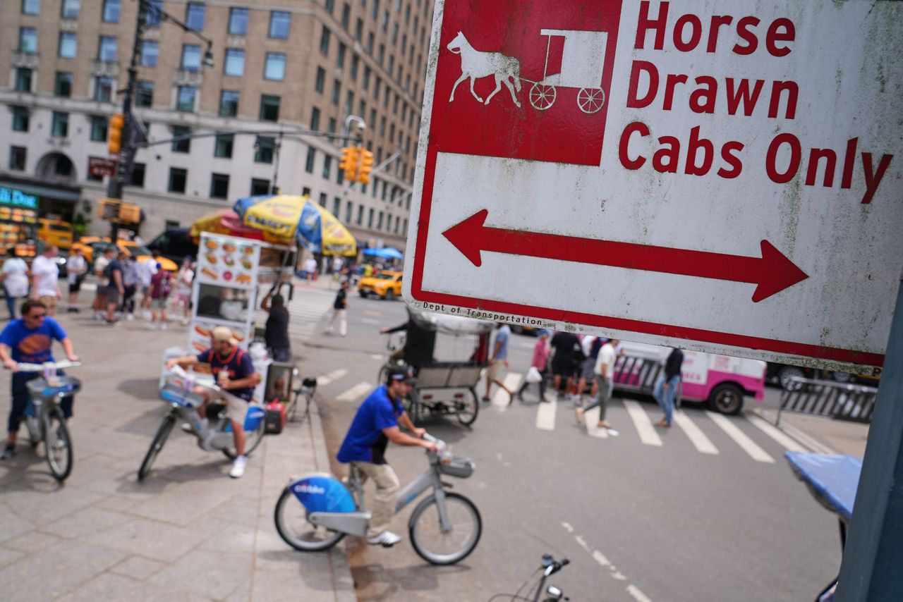 New York mayor, other leaders push to end horse carriage industry after ...