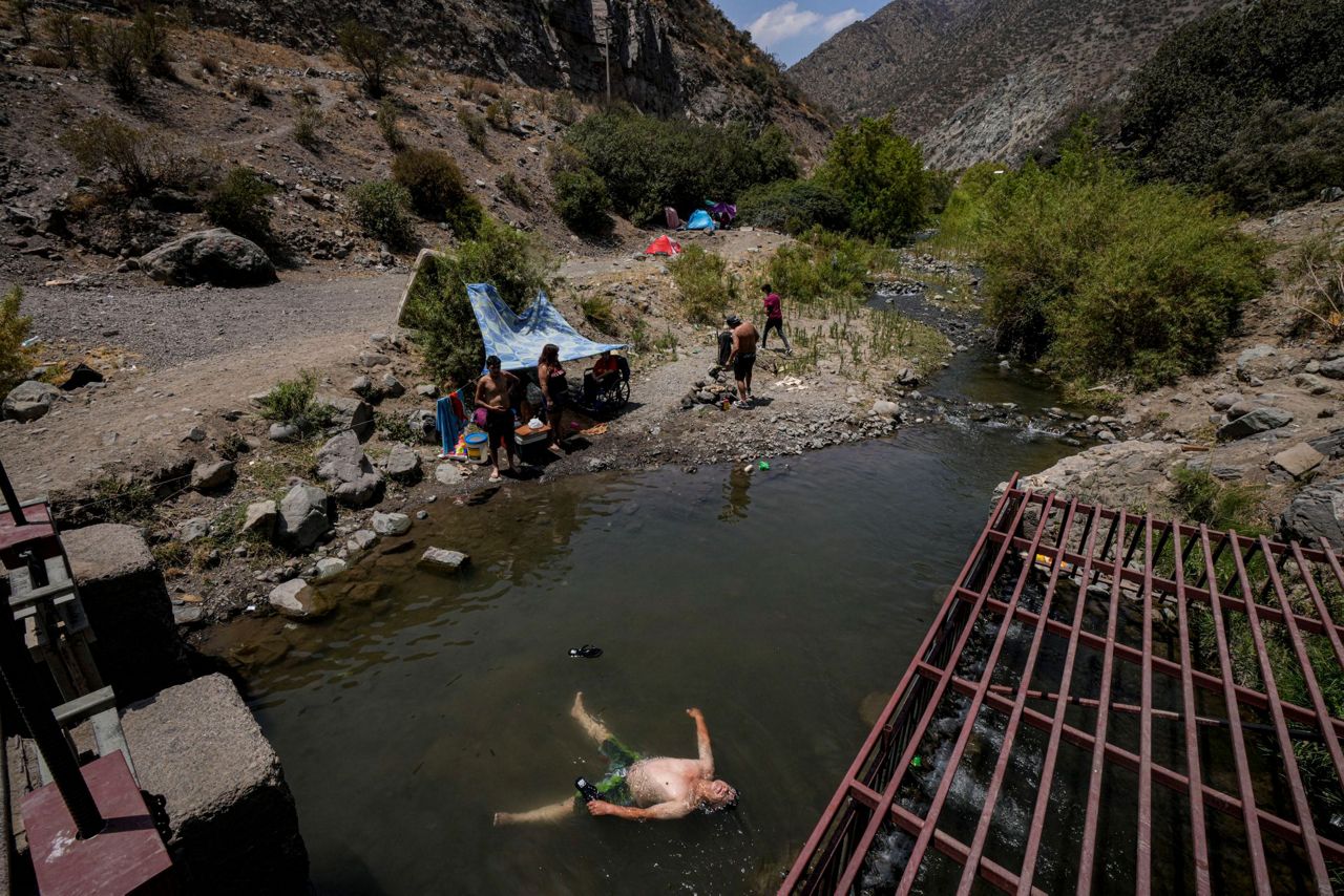 Drought, pesticides take a toll on Chile's crucial honeybees