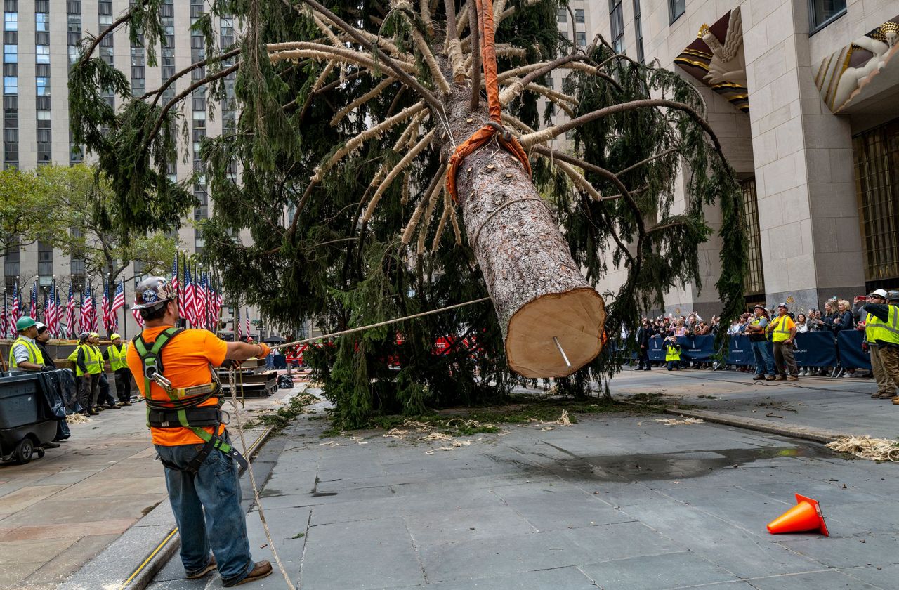 Holiday arrival: Rockefeller tree ushers in Christmas season