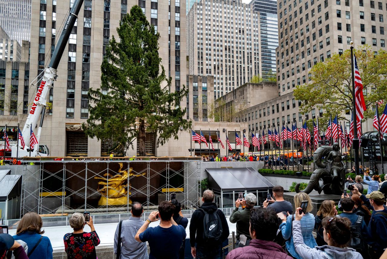Holiday arrival: Rockefeller tree ushers in Christmas season