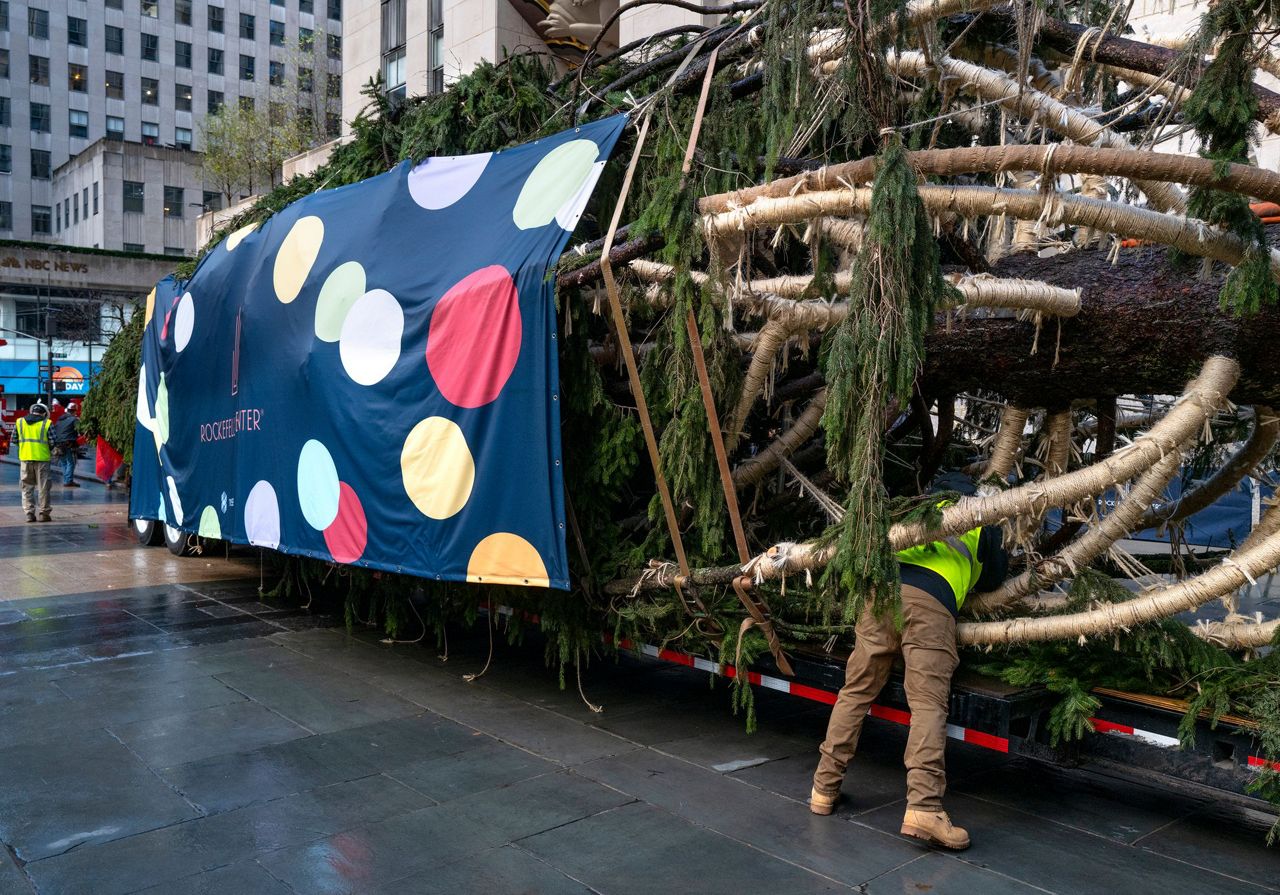 Holiday arrival: Rockefeller tree ushers in Christmas season