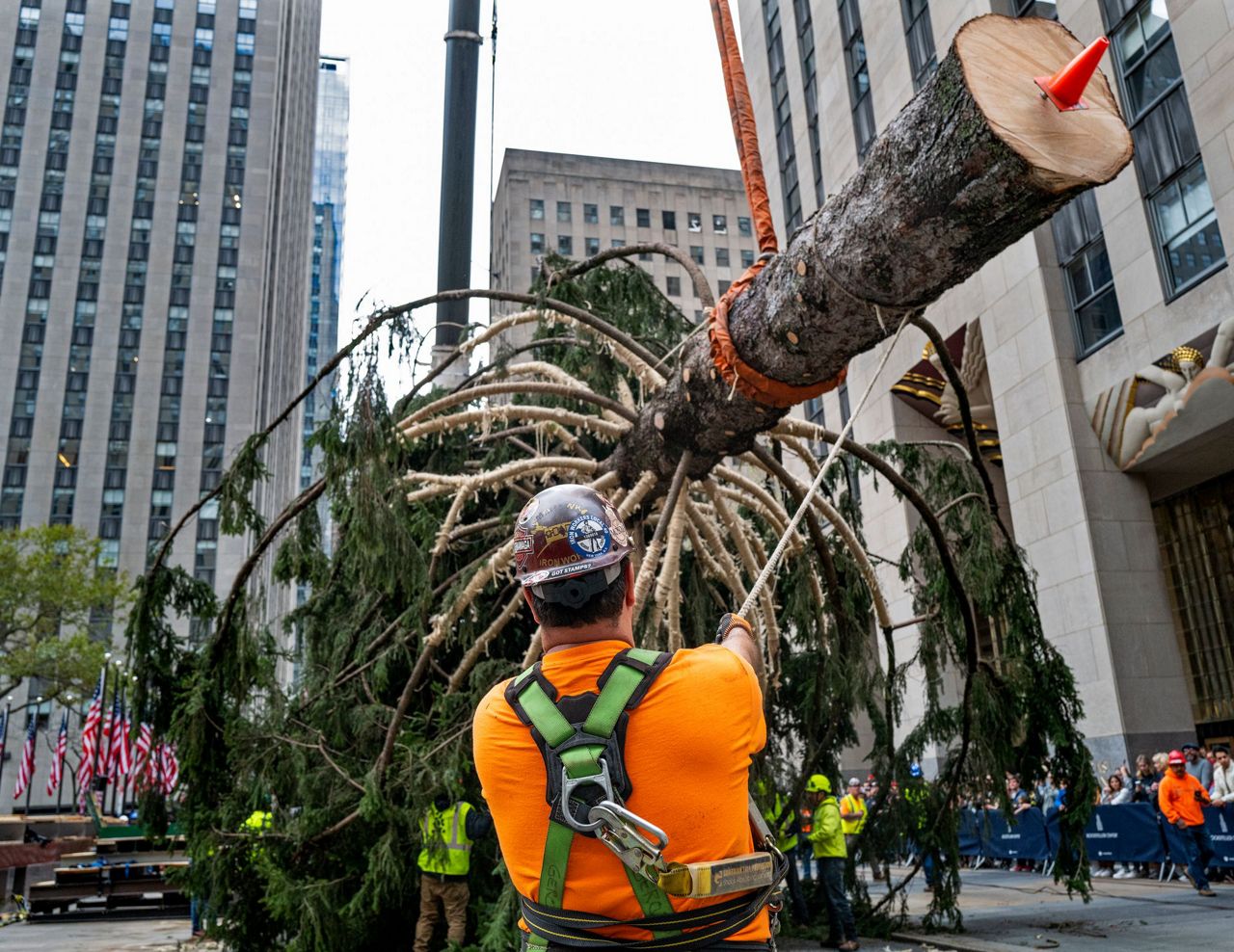 Holiday arrival: Rockefeller tree ushers in Christmas season