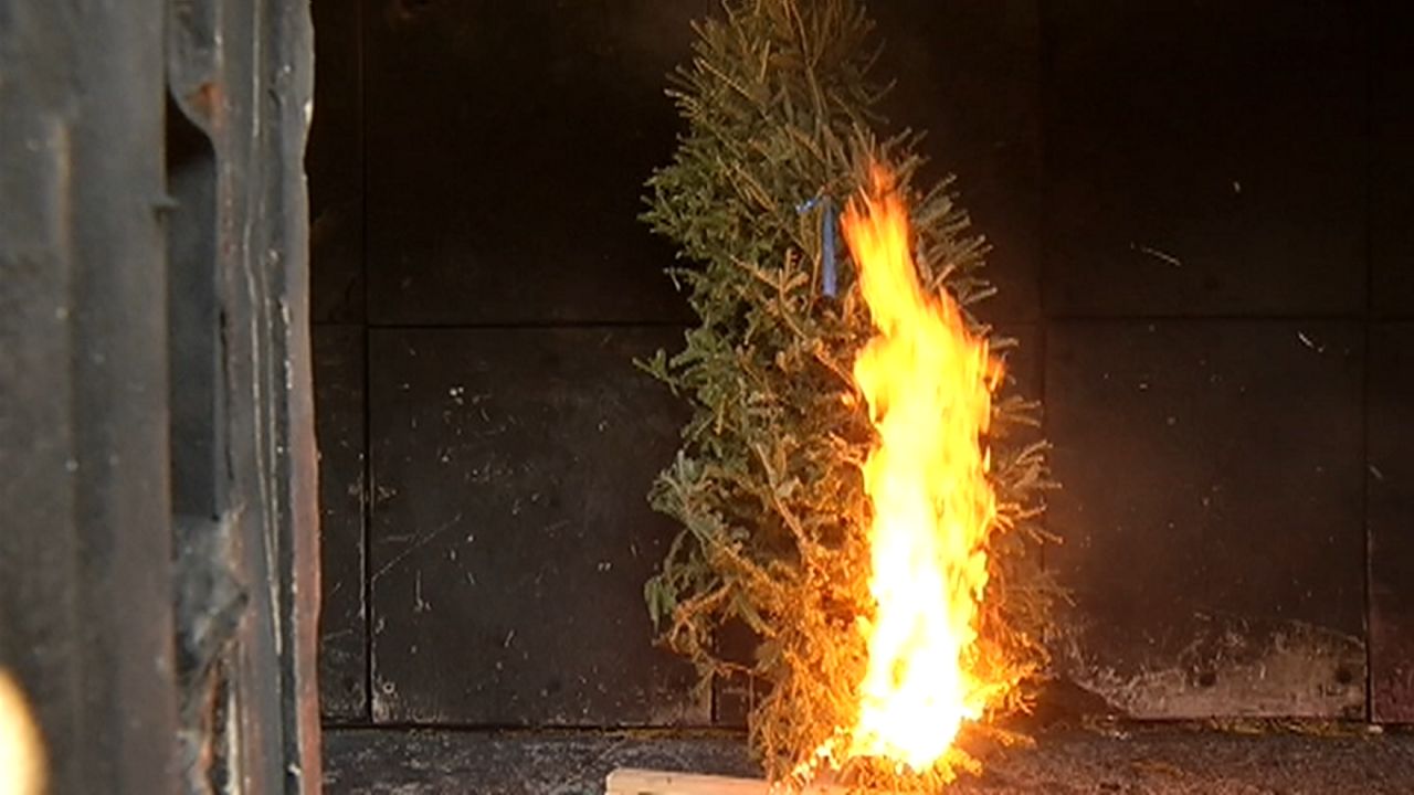 Holiday fire safety tips to protect your home
