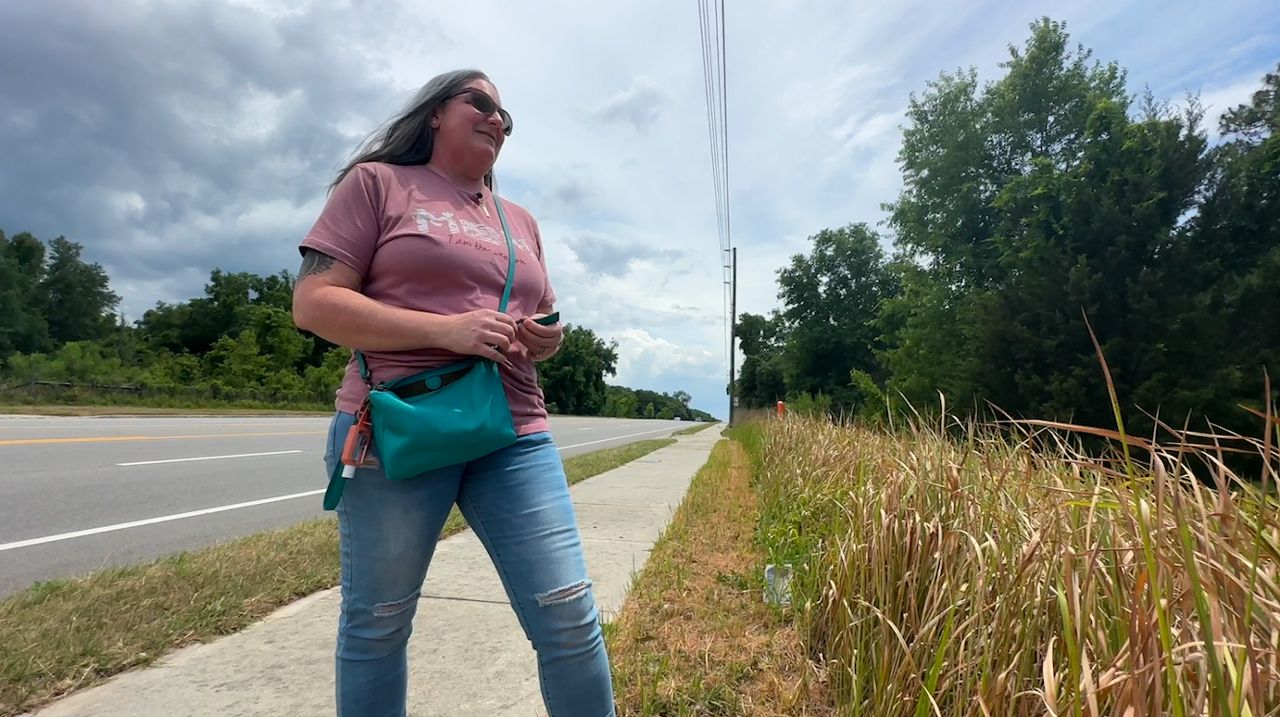 Plans for Lecanto development on pause