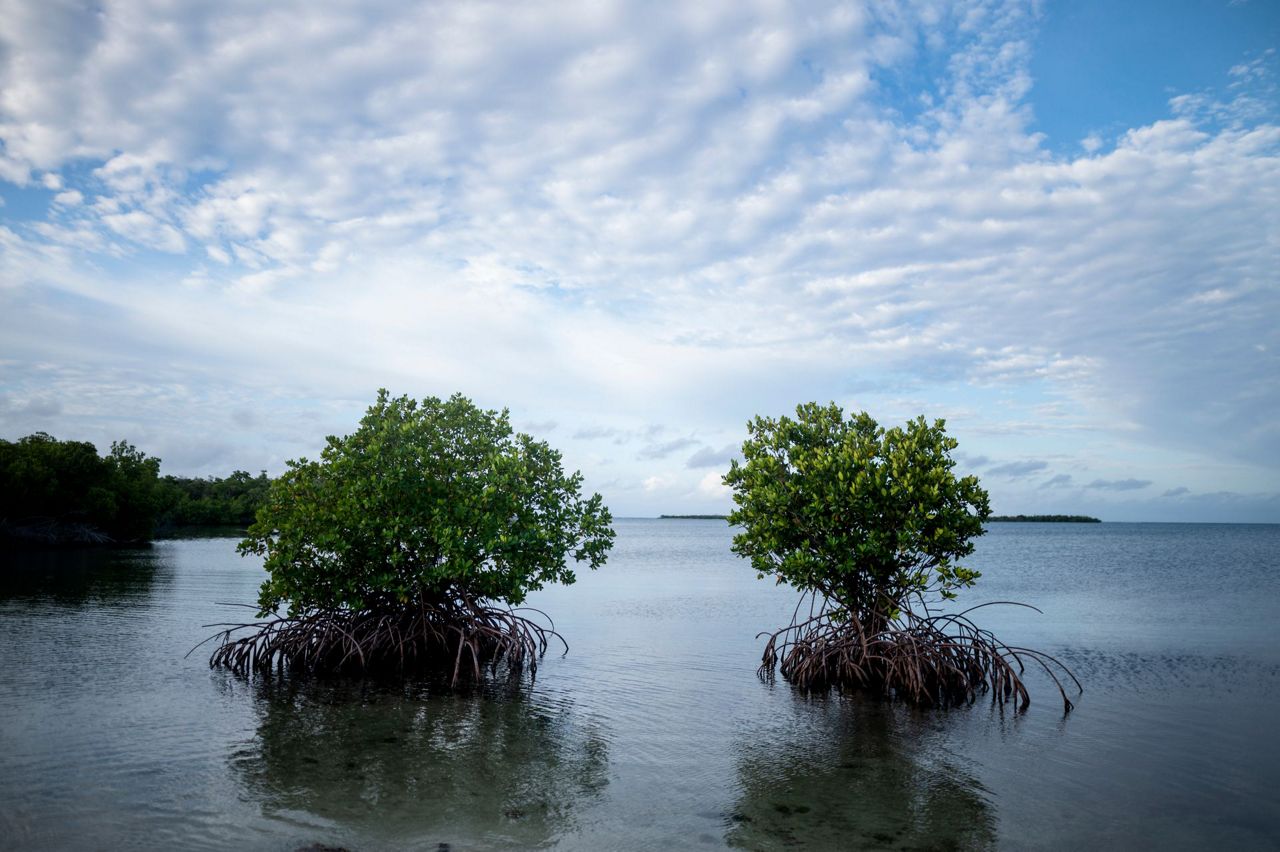 Builders hurt protected areas in climate-weary Puerto Rico