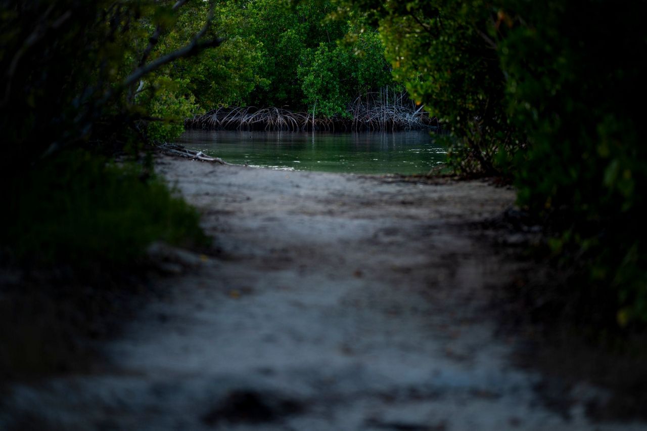 Builders hurt protected areas in climate-weary Puerto Rico