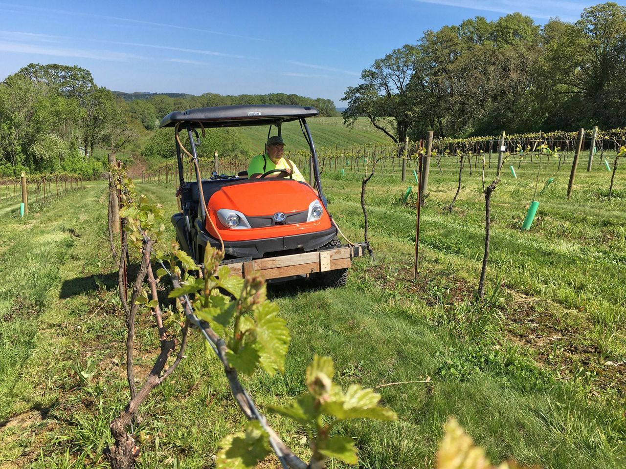 The world's wine industry is adapting to climate change